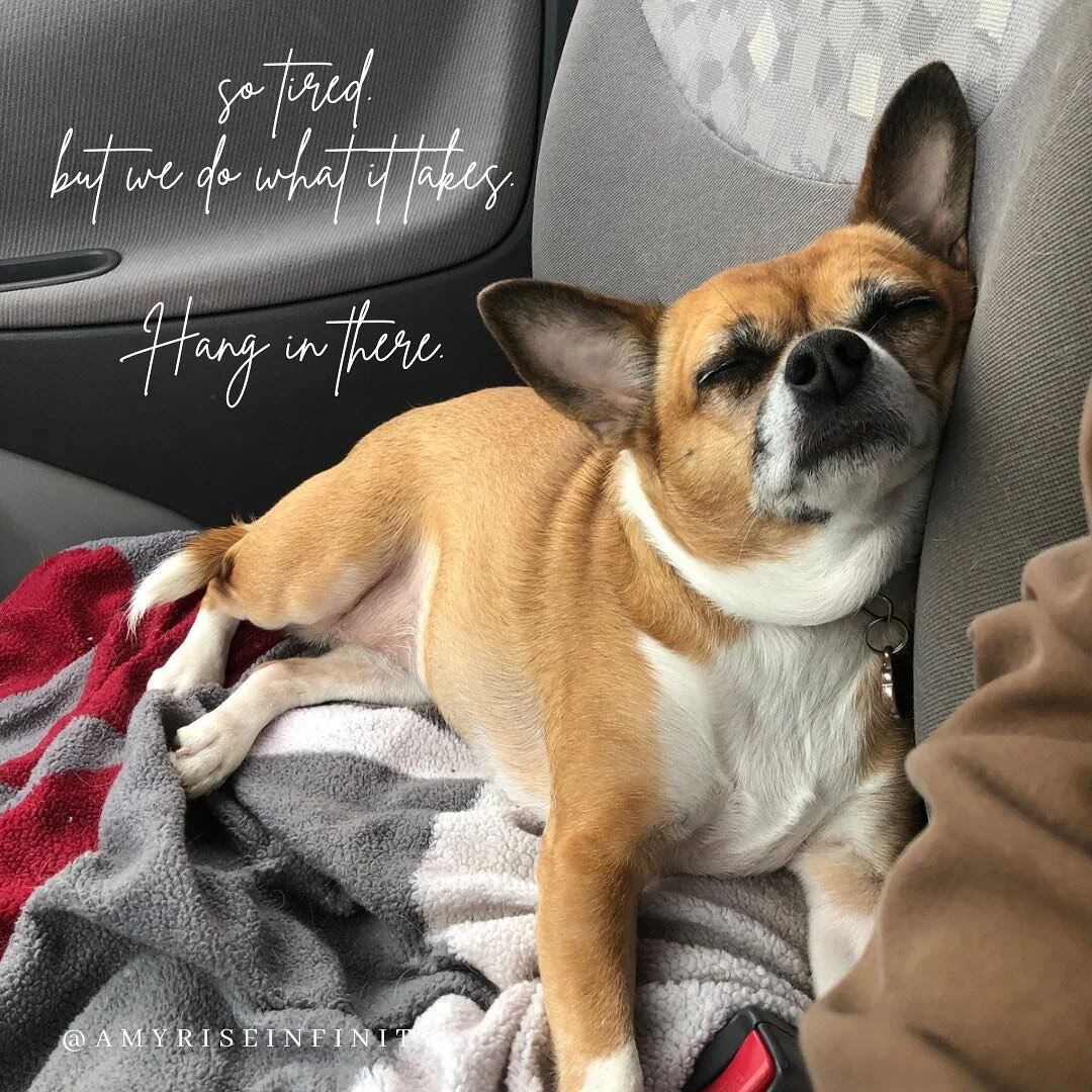 Amy Infinity | Courage Coach. Believer in the Magic of REAL Life and ...