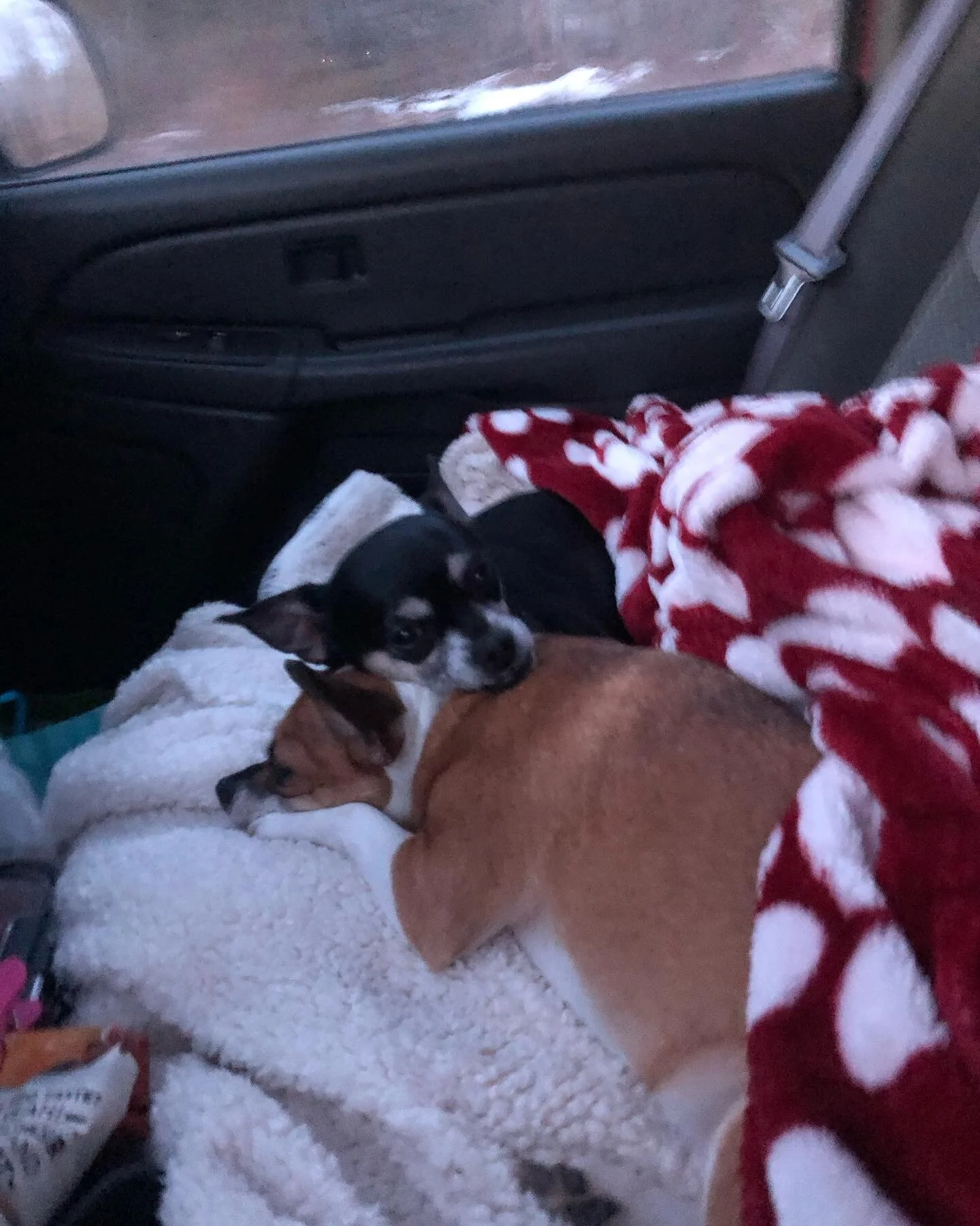 Amy Infinity | Courage Coach. Believer in the Magic of REAL Life and ...