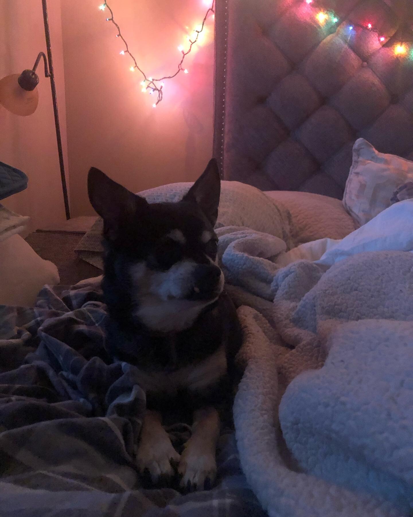 Amy Infinity | Courage Coach. Believer in the Magic of REAL Life and ...