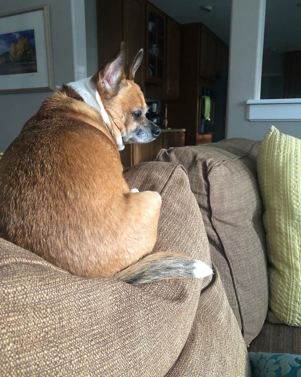 Amy Infinity | Courage Coach. Believer in the Magic of REAL Life and ...