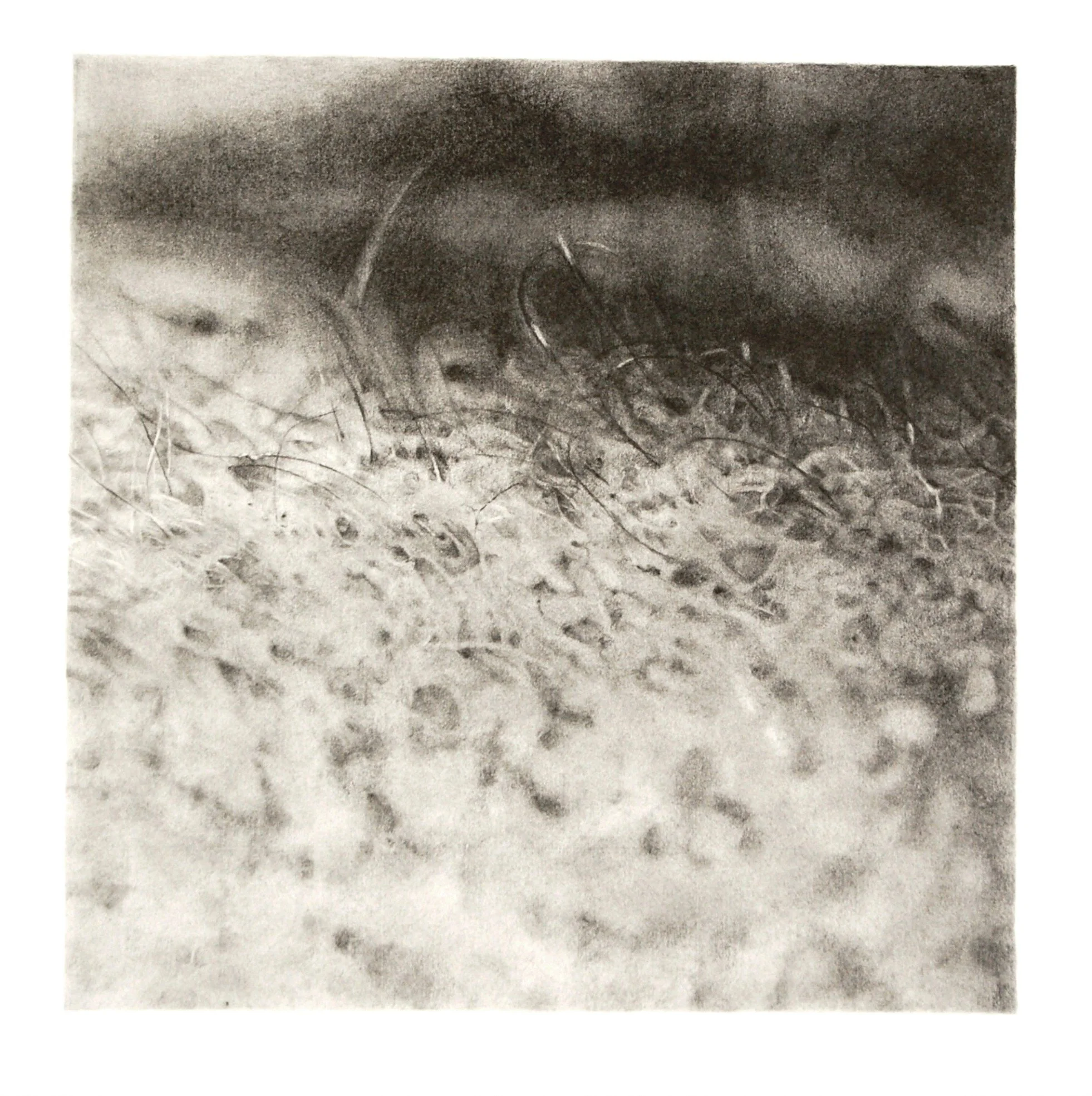 Drawings and Embroidered Thread on Paper — Lisa Kellner