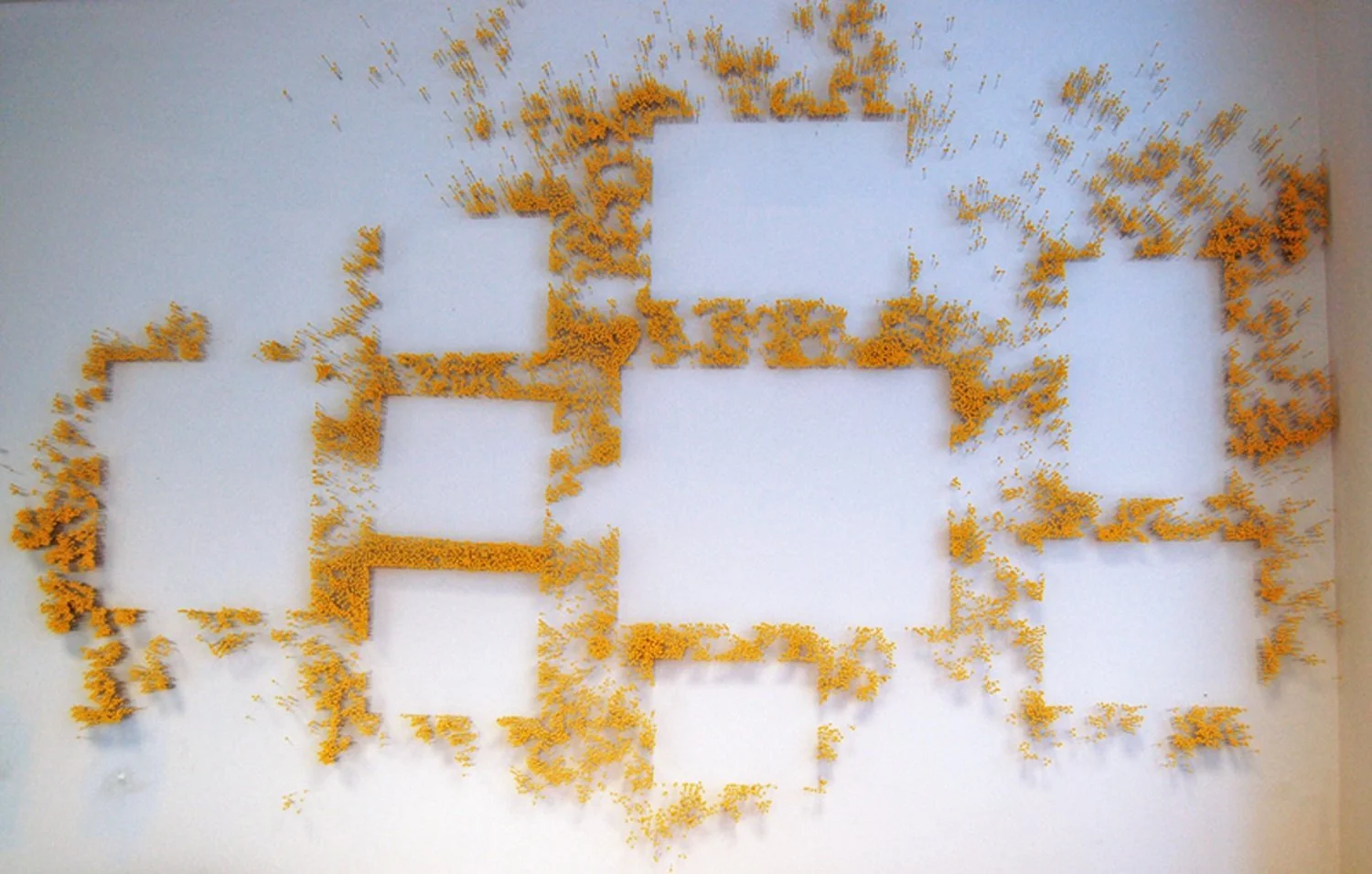 Exhibitions — Lisa Kellner