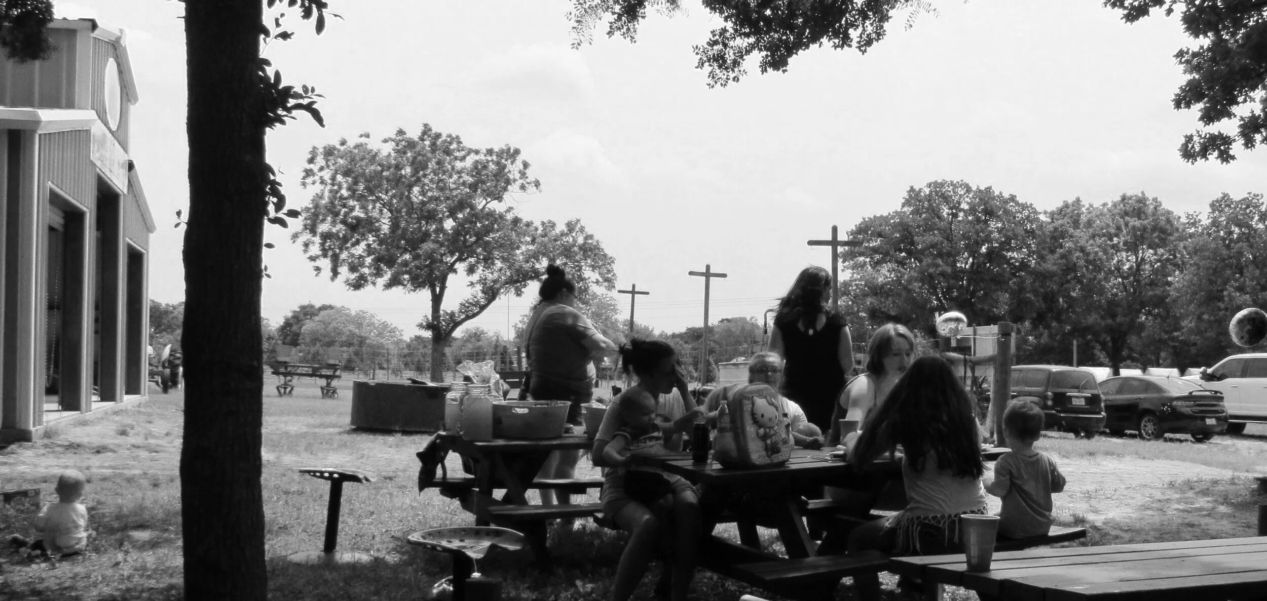 Photos — Sunset Hill Tree Farm