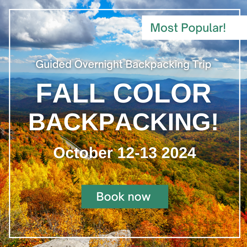 Guided Beginner Group Backpacking Hikes Near Asheville North Carolina ...