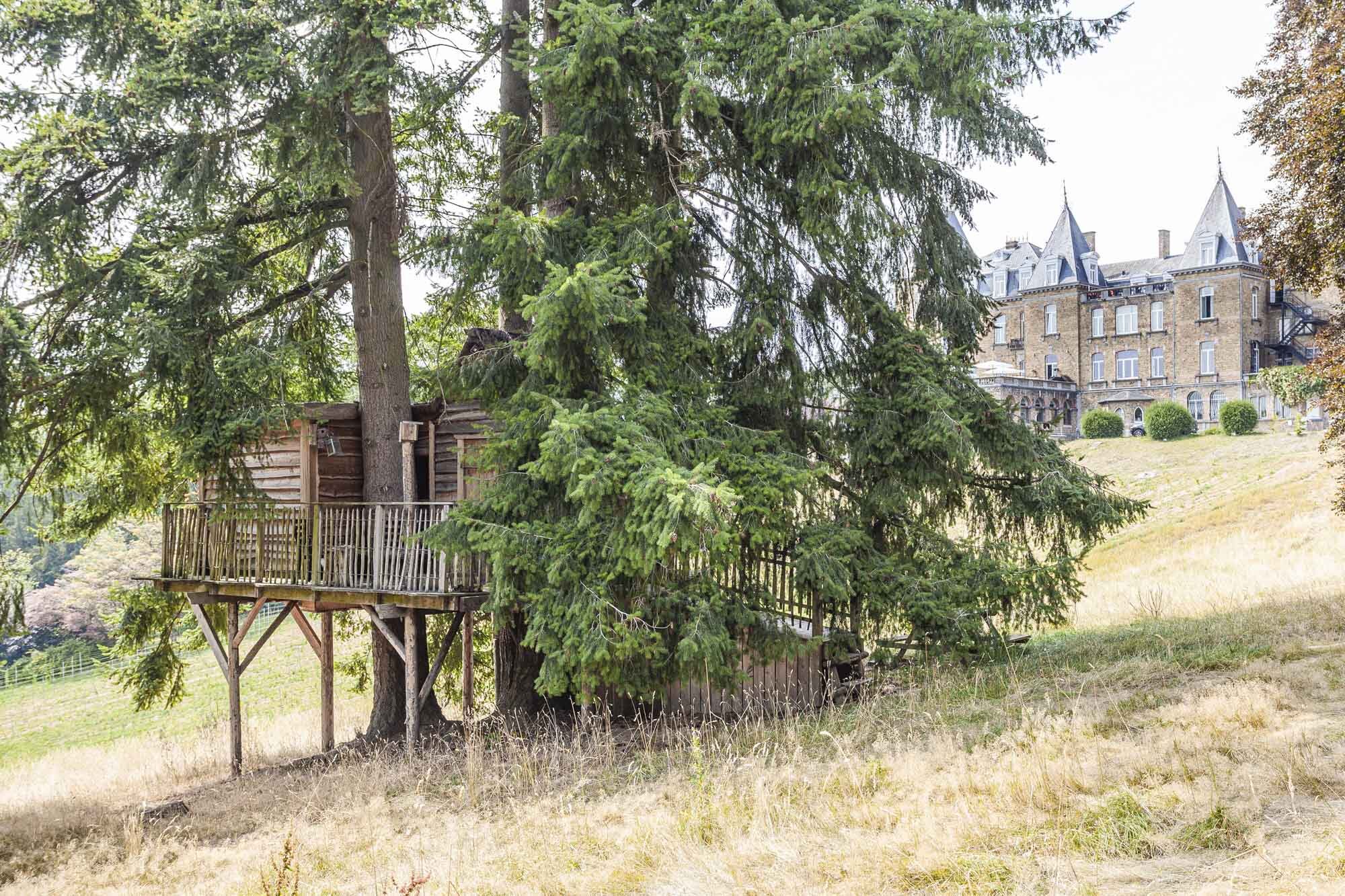 Insolites — Domaine de Ronchinne