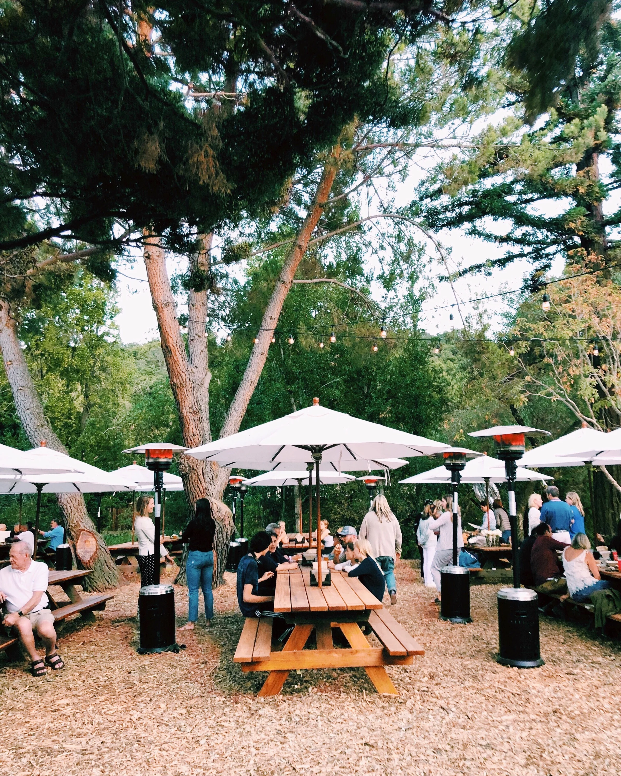 Rossotti's Alpine Inn