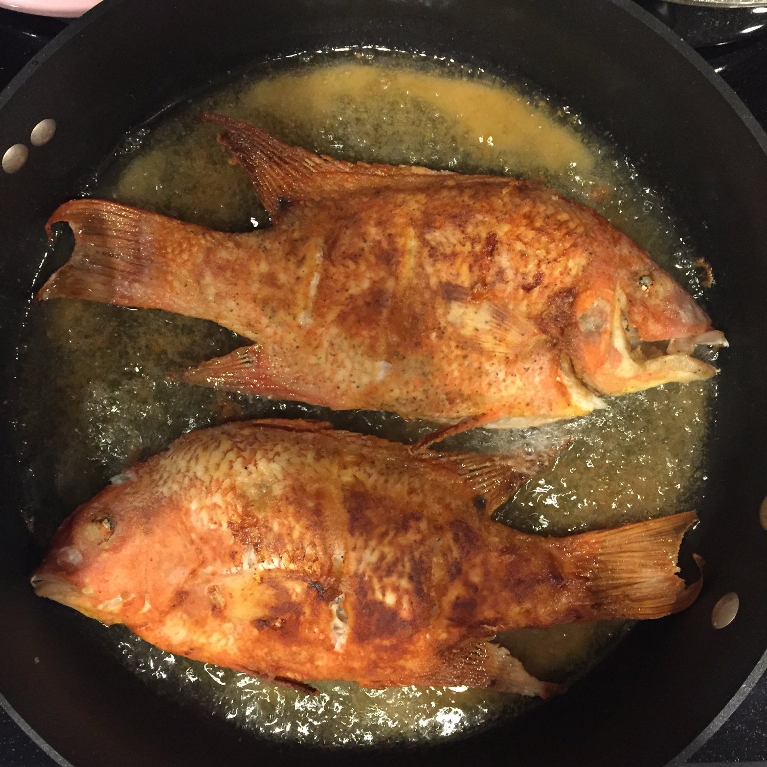 Fried Hogfish — Danimade