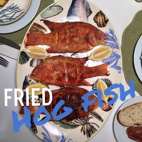 Fried Hogfish — Danimade