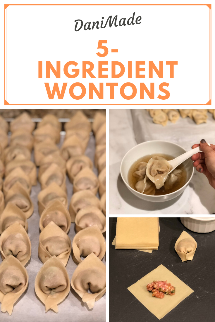 Easy Homemade Wontons — Danimade