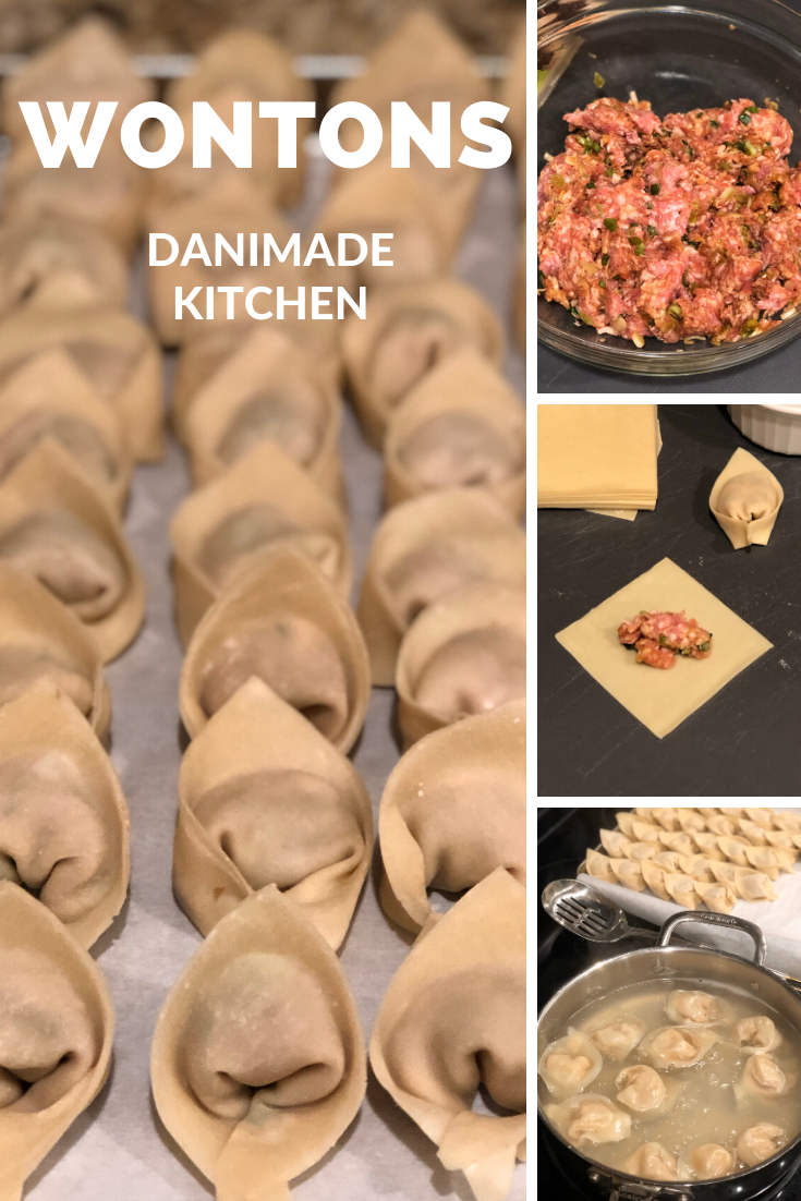 Easy Homemade Wontons — Danimade