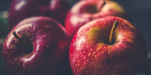 Our favourite things to cook using British apples — littleseed