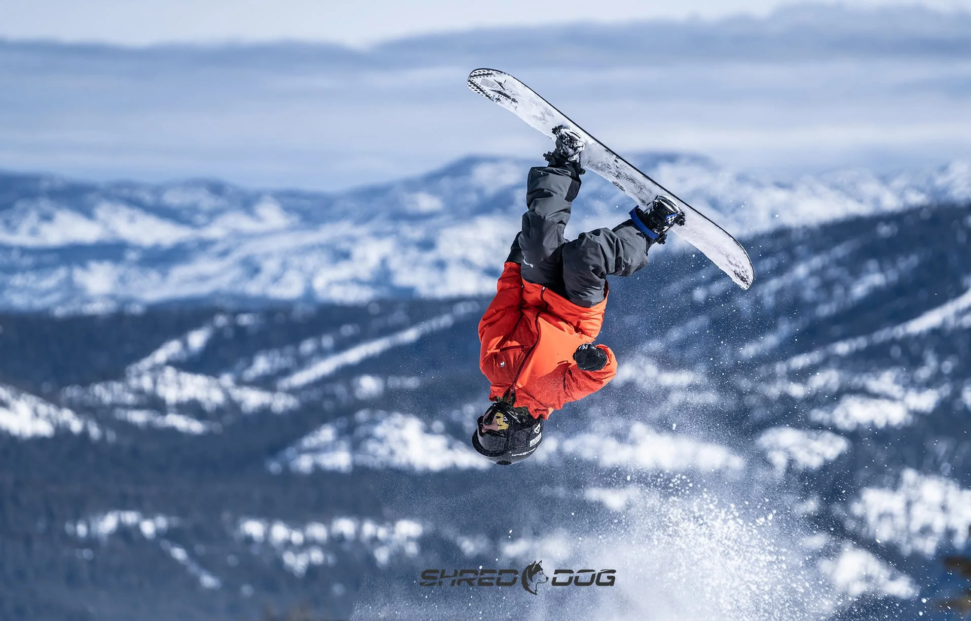 POBY director | photographer