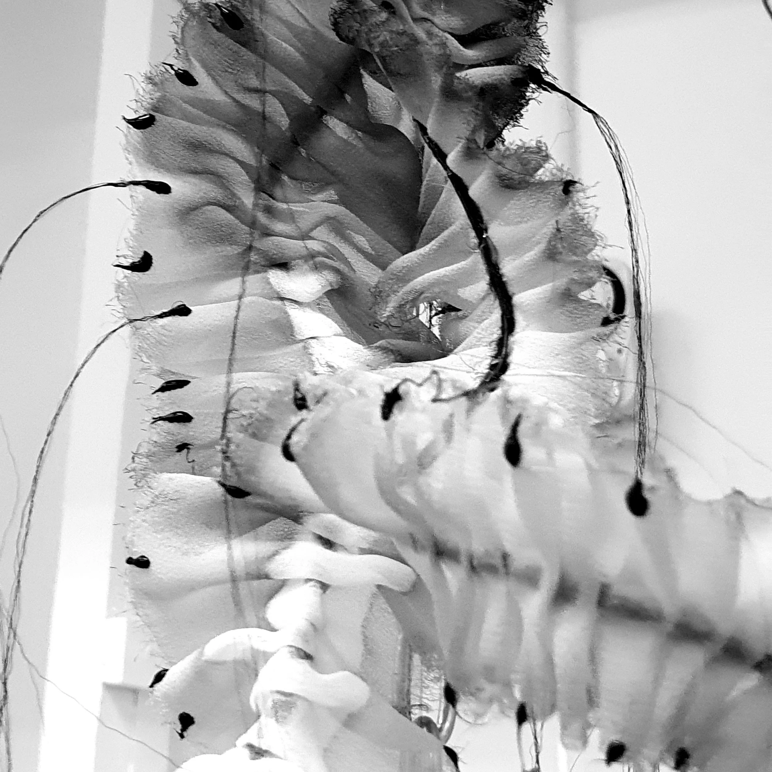 SARAH-LOU SASHA MAAREK | CLUSTER CONTEMPORARY 2022 EXHIBITOR — CLUSTER ...