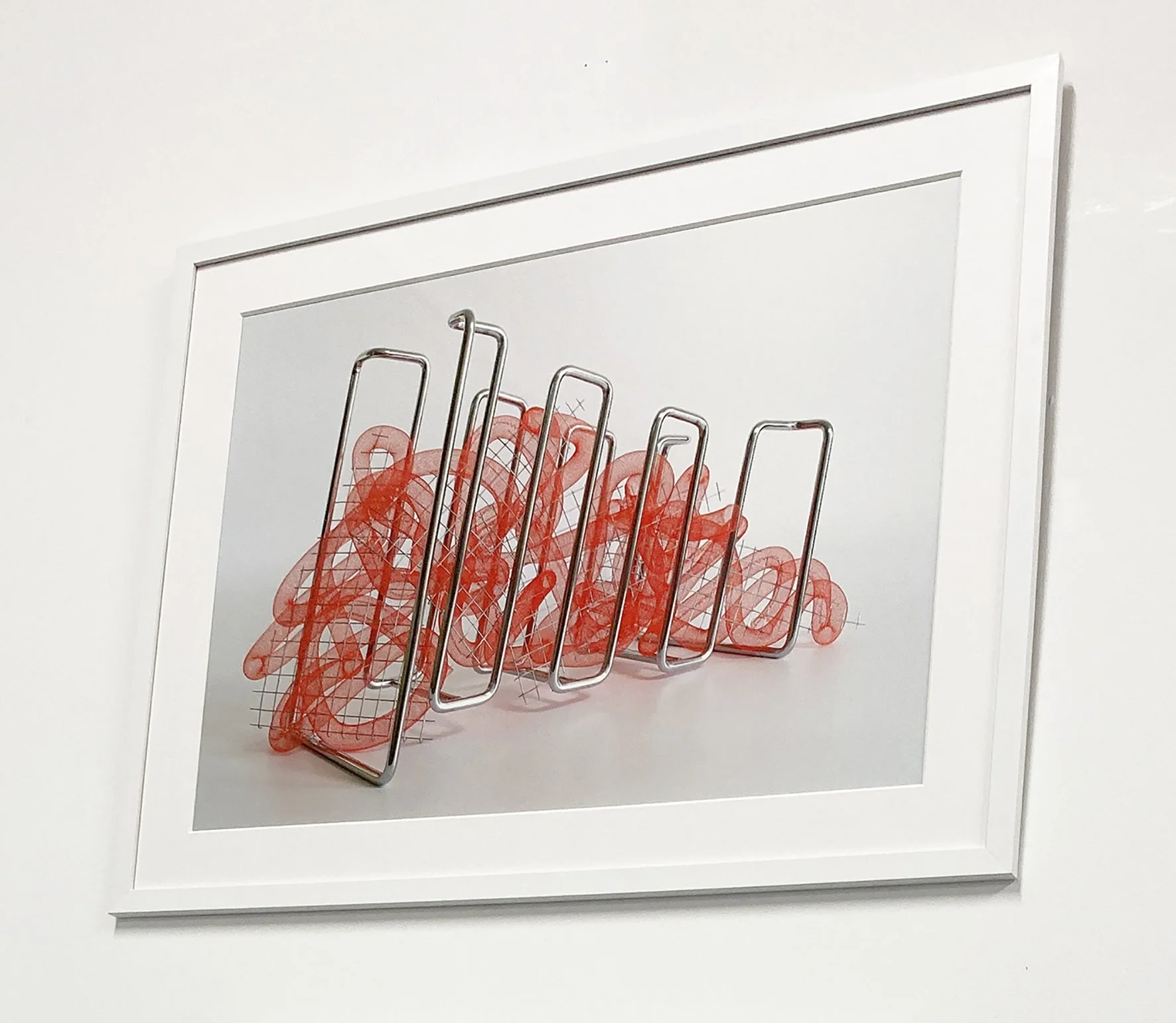 Guts Galore by Sam Haynes — CLUSTER London