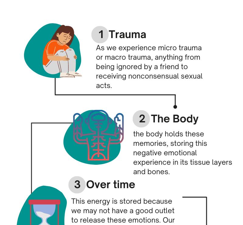 Pelvic Floor Physical Therapy — Physical Therapy, Sexual Health ...