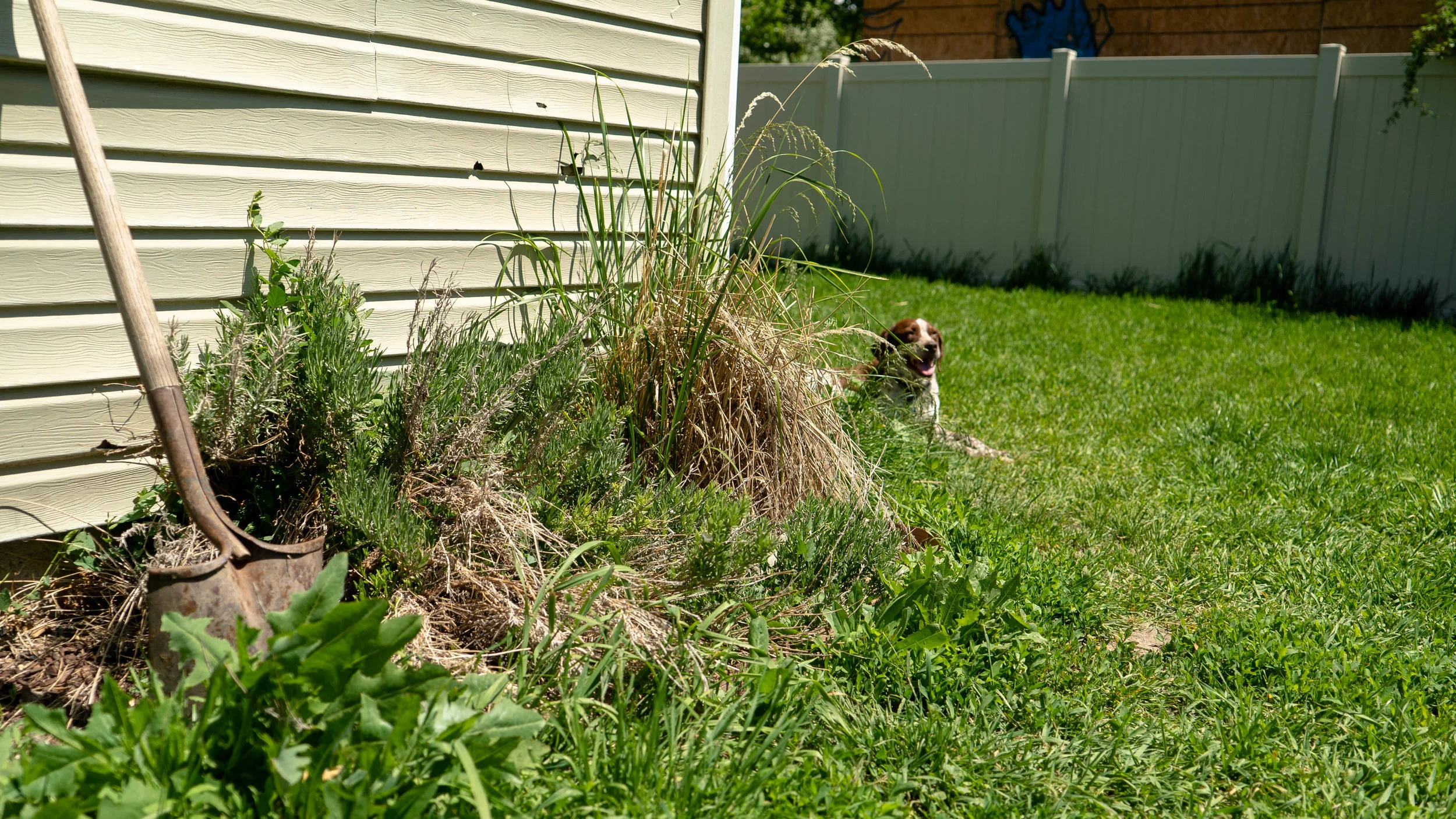 Five Steps to Spring Yard Prep — Grasshoppers Landscaping and Lawn ...
