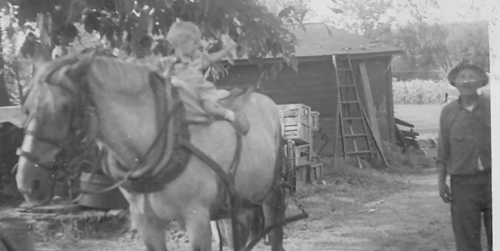 Joseph Preli Farm & Winery