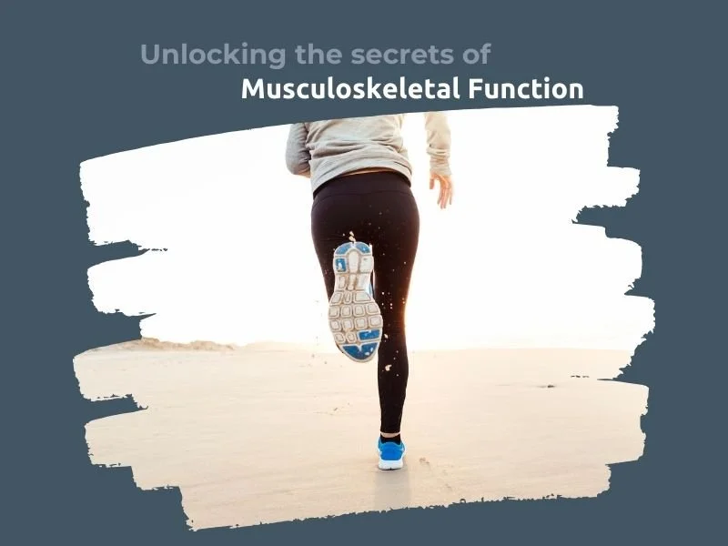 Blog — Your Body Works