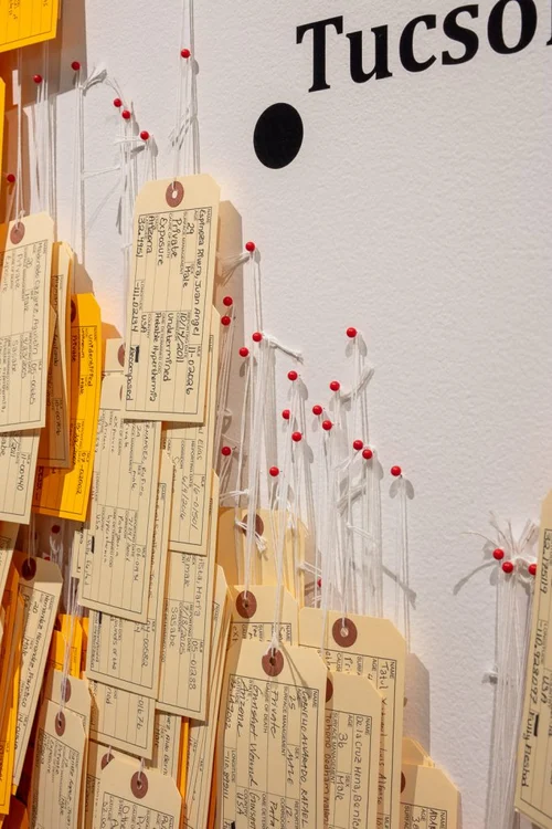 Installation — Undocumented Migration Project