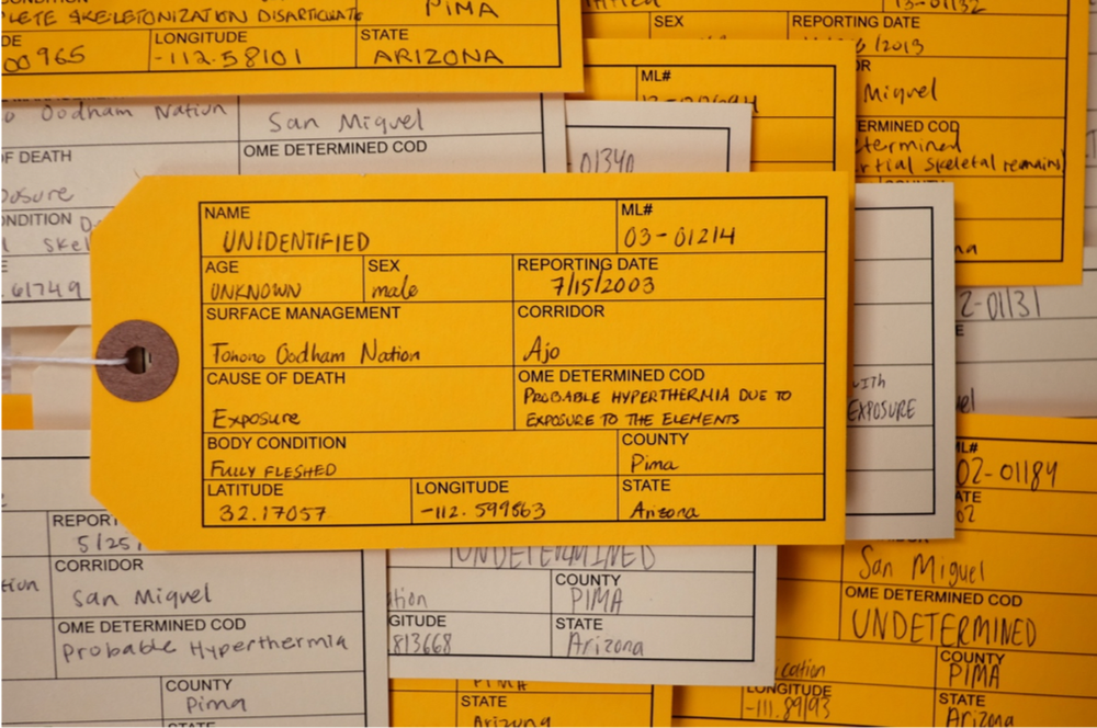 About — Undocumented Migration Project