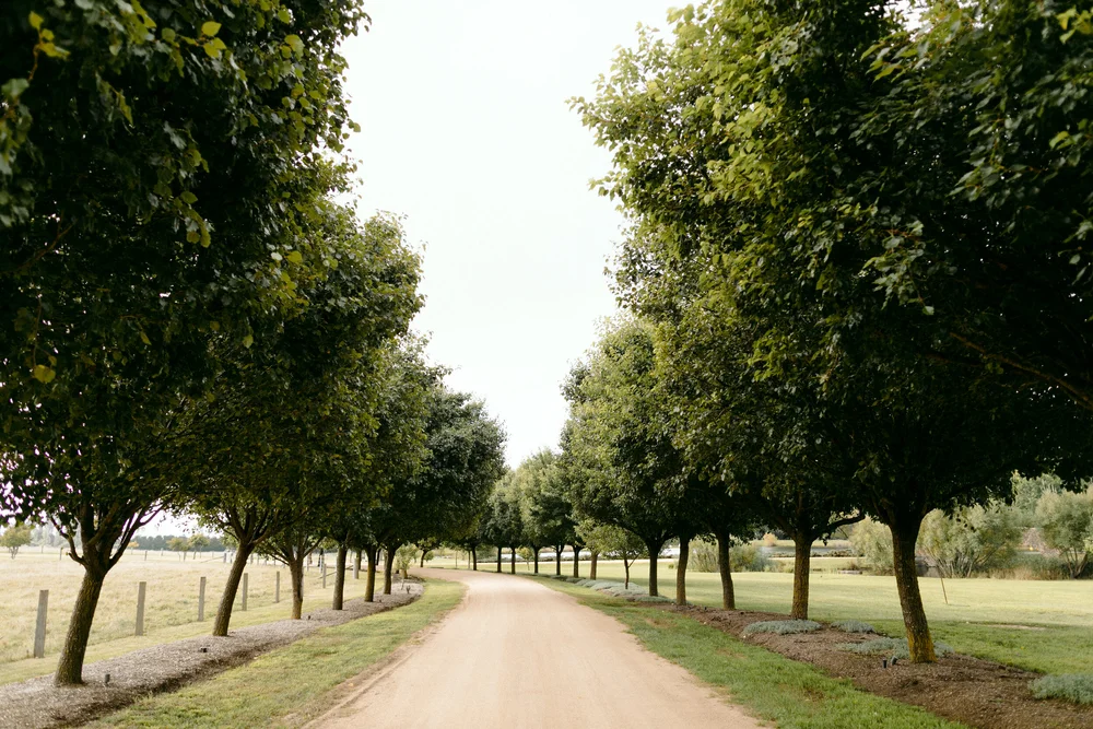 Laura & Xavier — Mona Farm