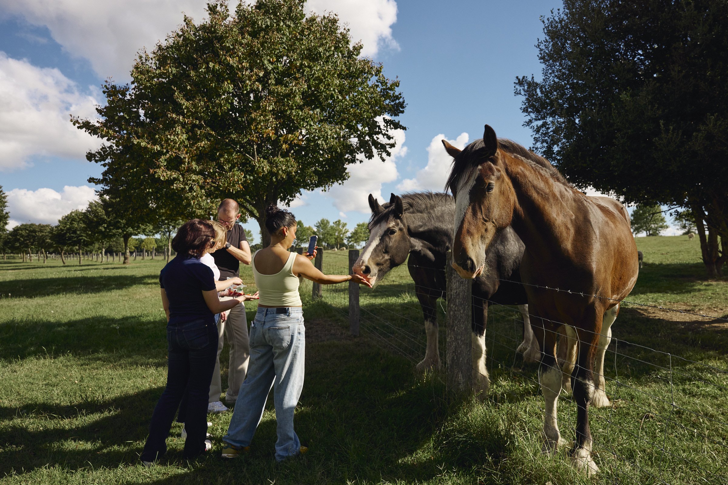 Things to do in Braidwood and Mona Farm
