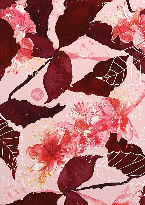 Sheryl Cole