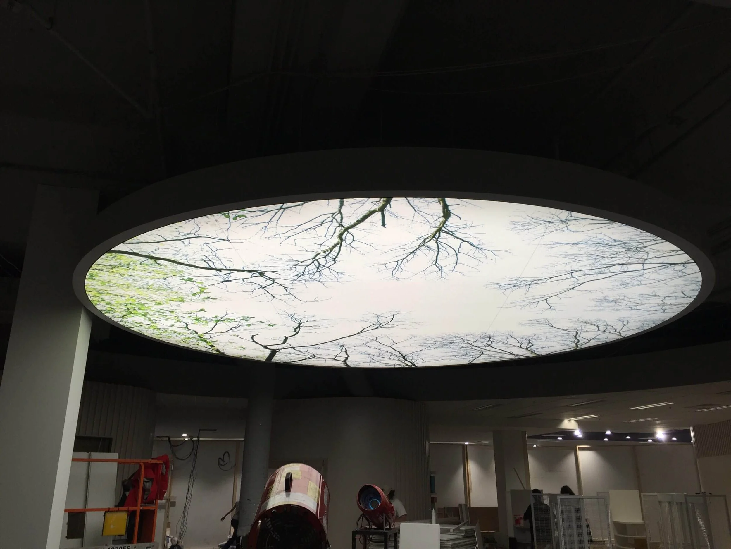 Ceilings Gallery — Linear Matrix