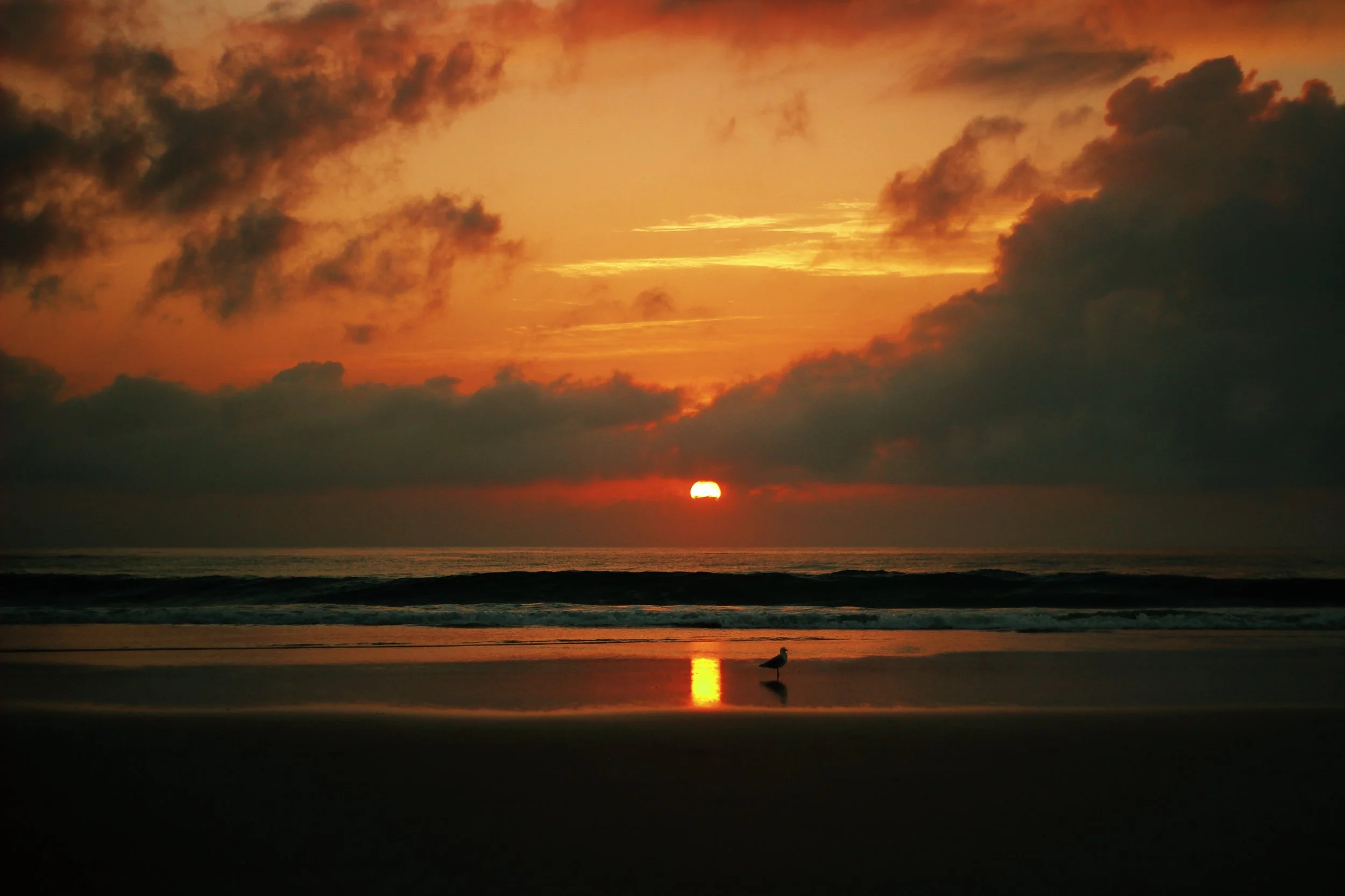 Summer Vibes DTS — YWAM Byron Bay | YWAM Australia