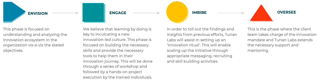 Service - Capability Building — Turian Labs