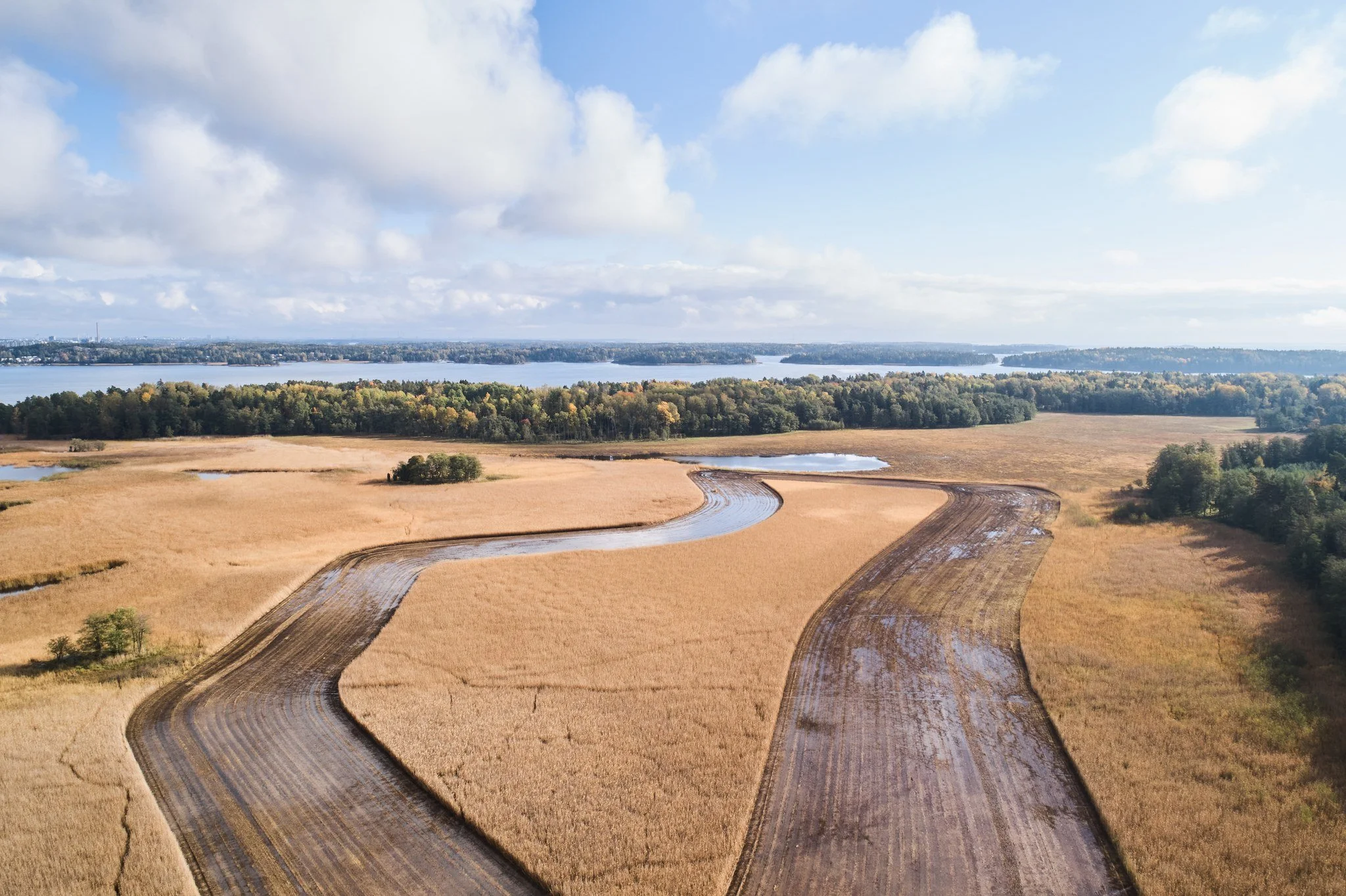Reed harvest and nutrient removal