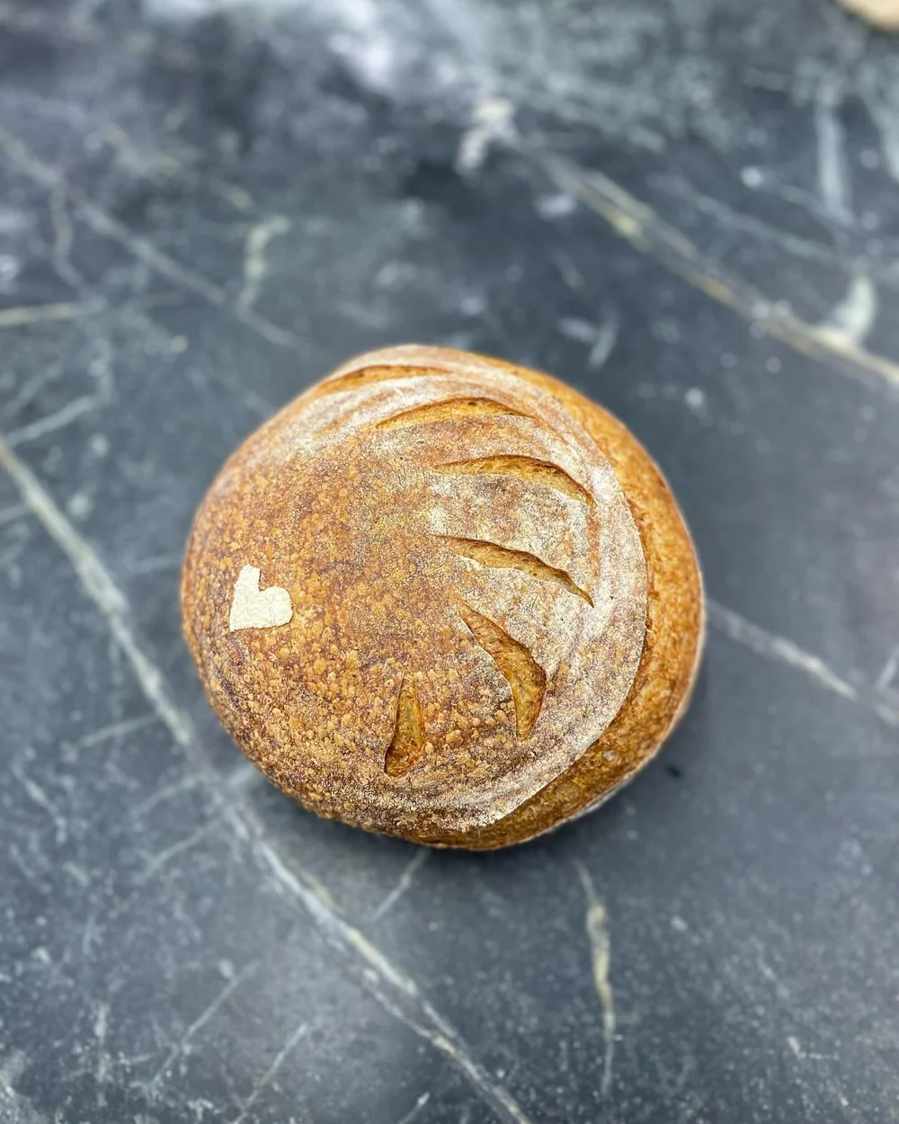 Sourdough Schedule — Sweet C Baking Co.