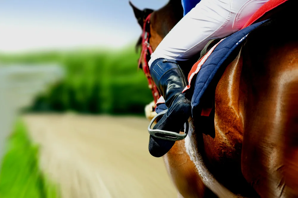 Simulcast Racing — Mobile Race Course