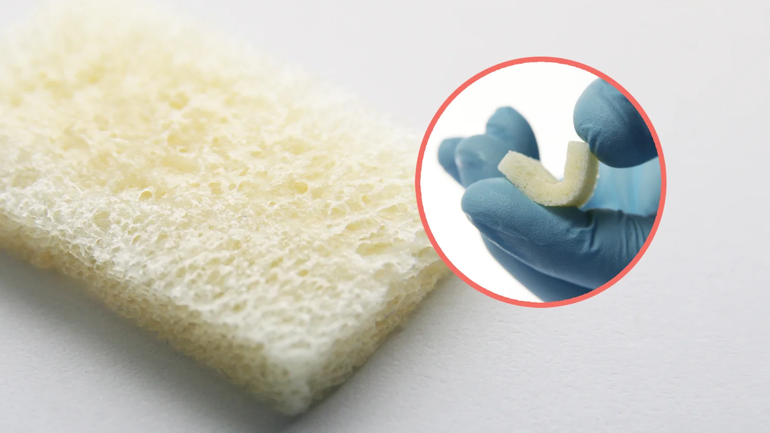 Home Page — NanoFUSE Biologics