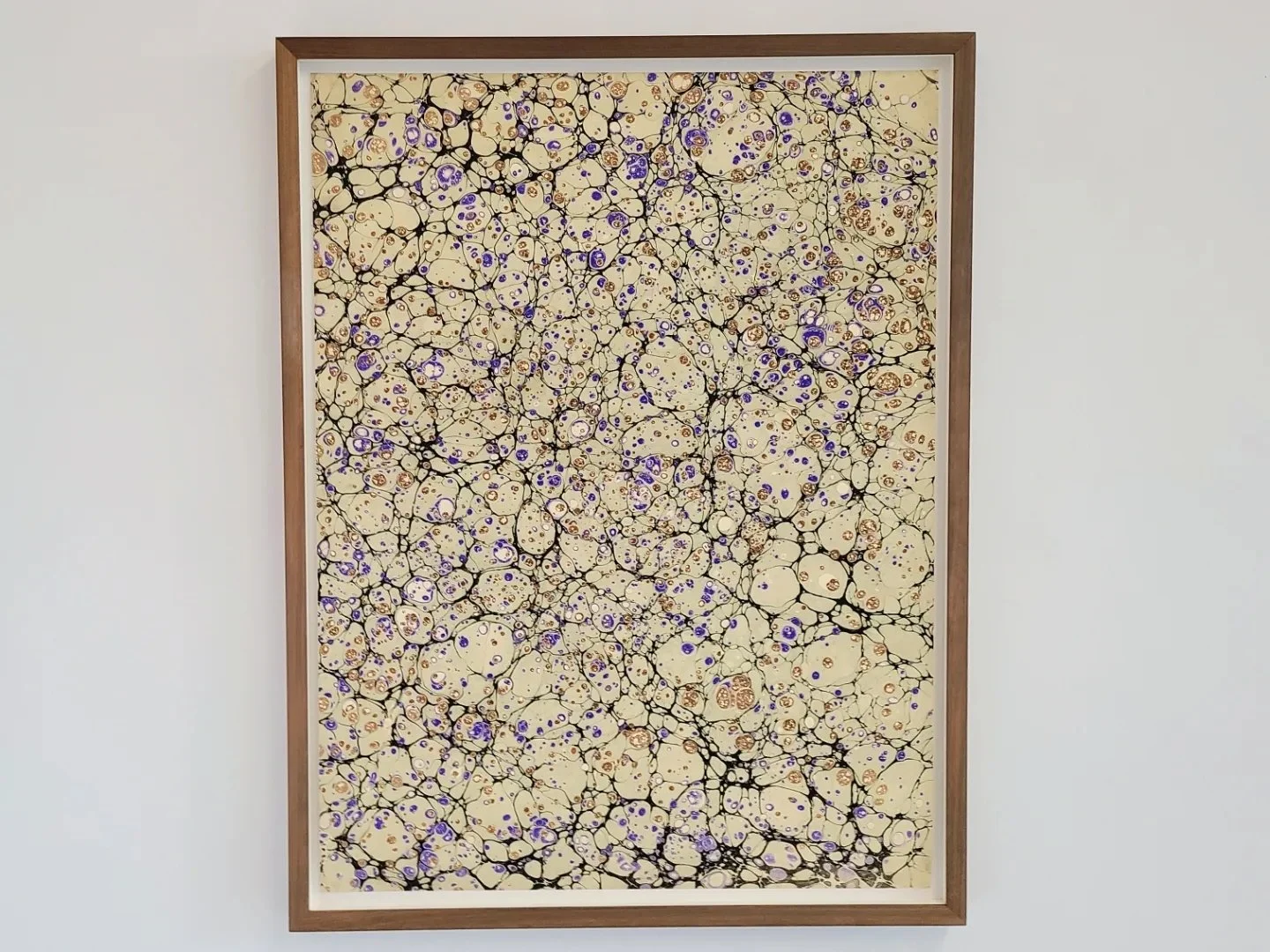 Lividity — Rowan Corkill