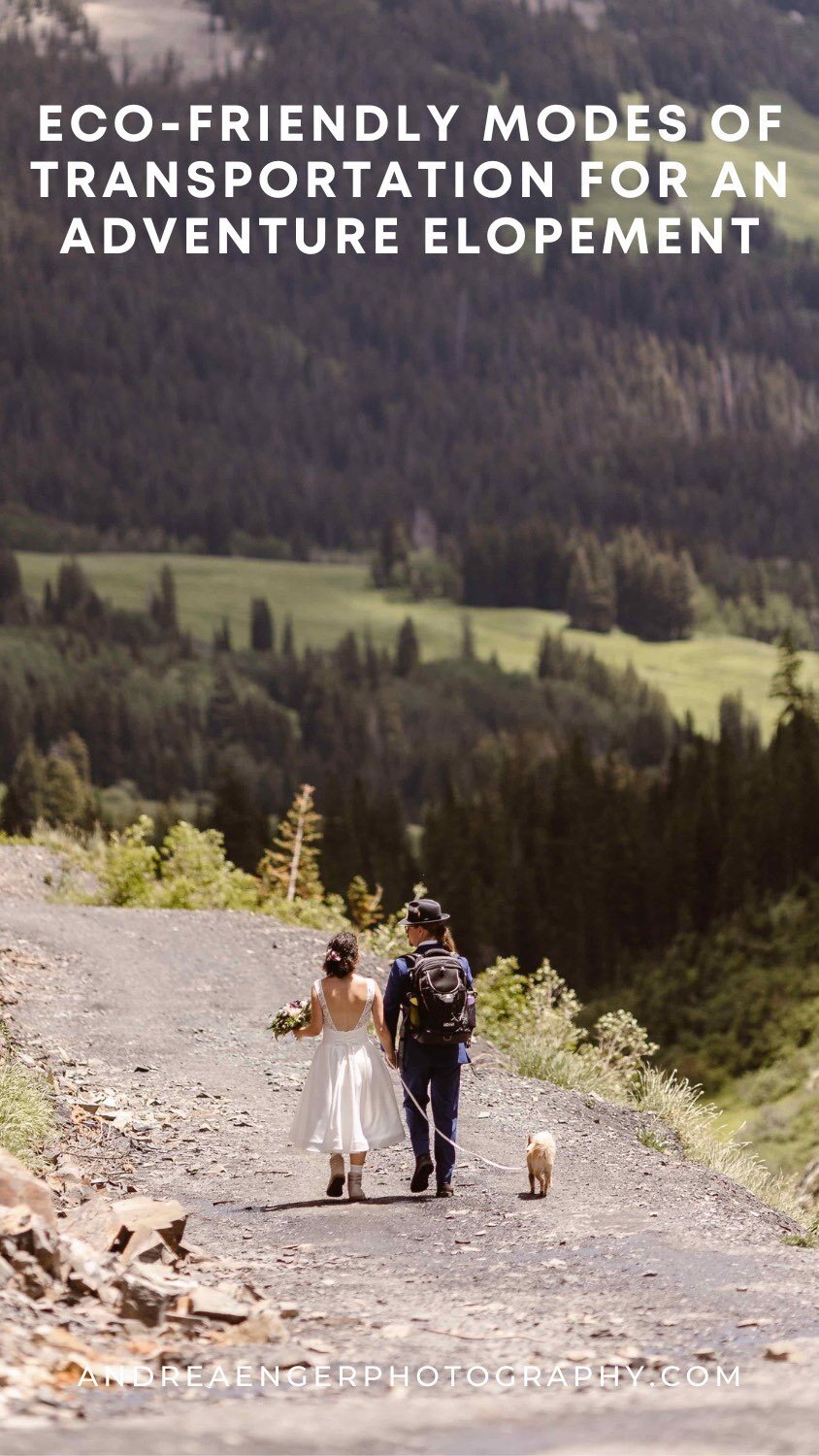 Maternity, Newborn, and Family Photographer in Boulder, Colorado ...