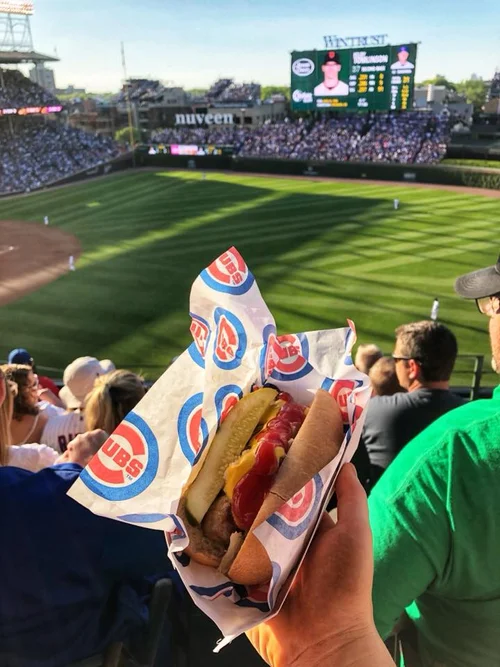 Top 10 Things To Do in Chicago During the Summer | From the Roots