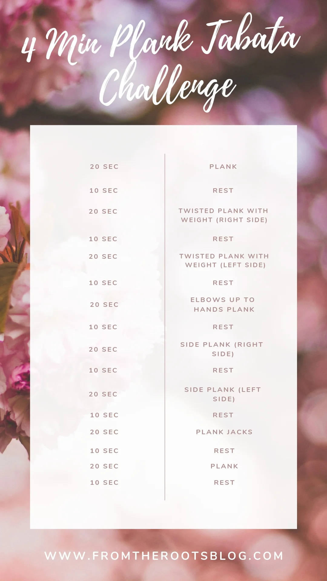 4 Minute Plank Tabata Challenge | From the Roots