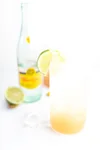 Homemade Ginger Ale | From the Roots