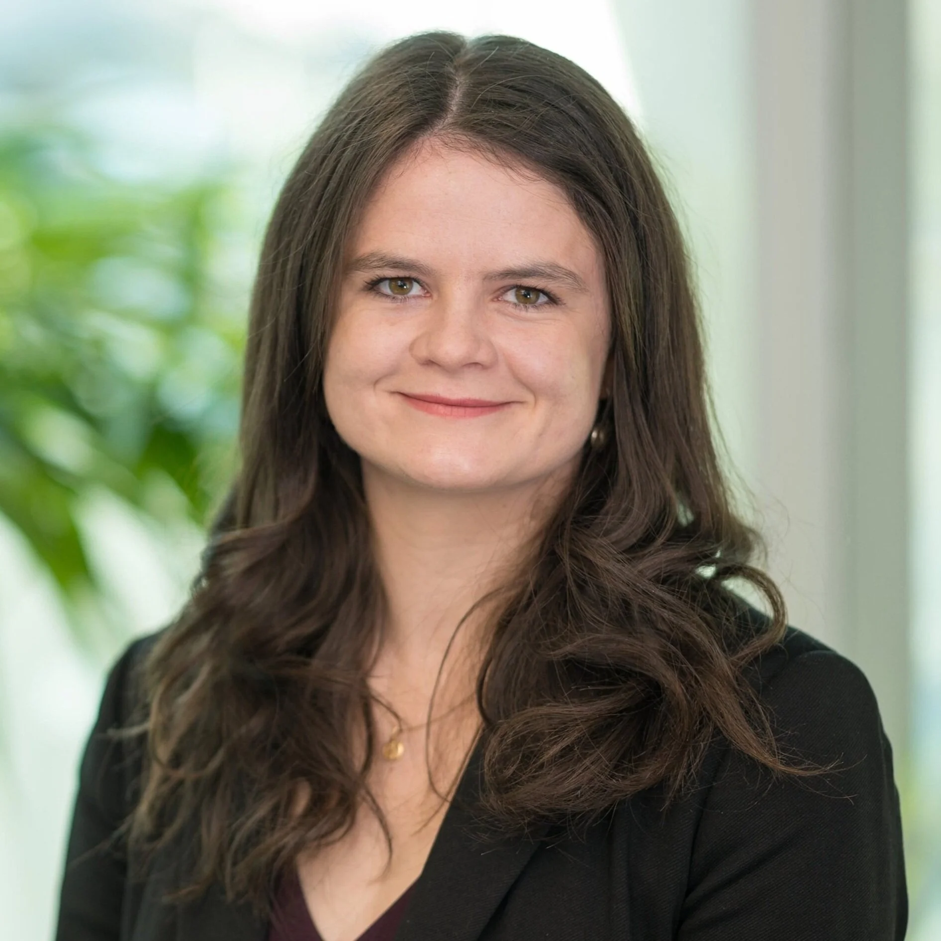 Walker Street Chambers :: Barristers :: Christchurch