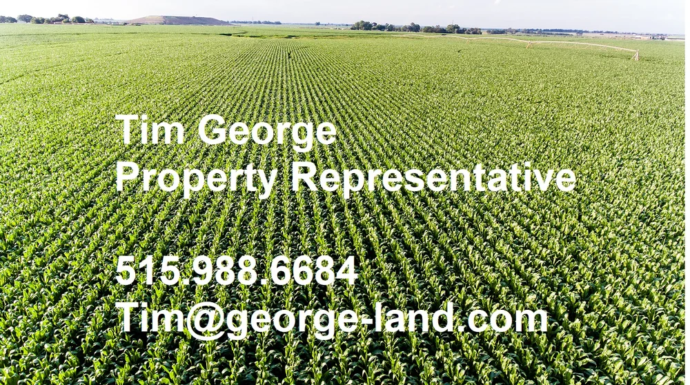 Contact Us — George Land & Property