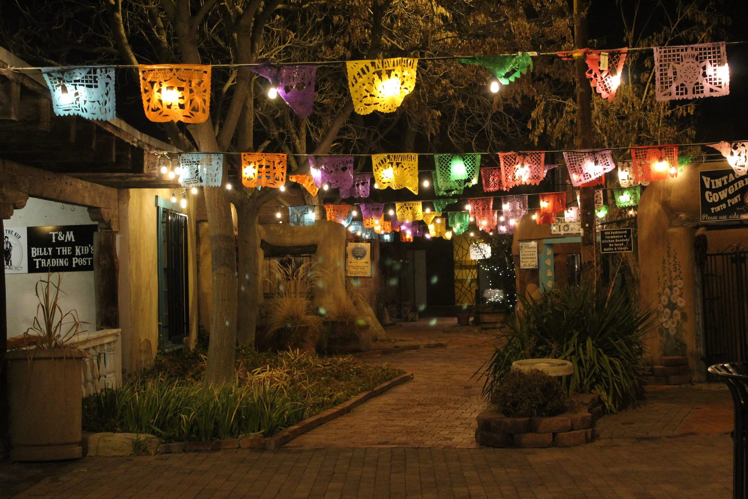 History and Ghost Tours of Old Town