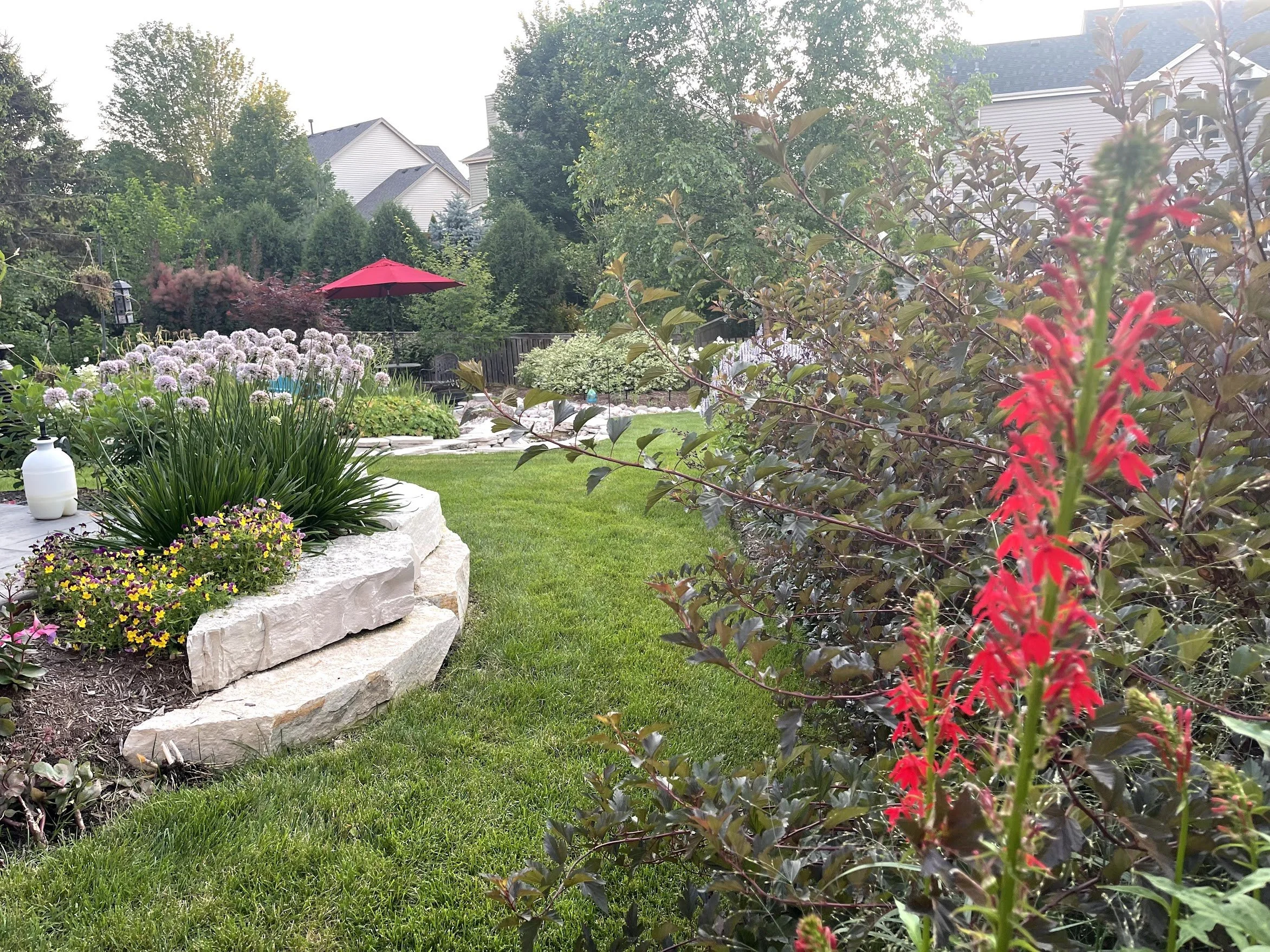 METAMORPHOSE - INNovation STUDIO LANDSCAPE