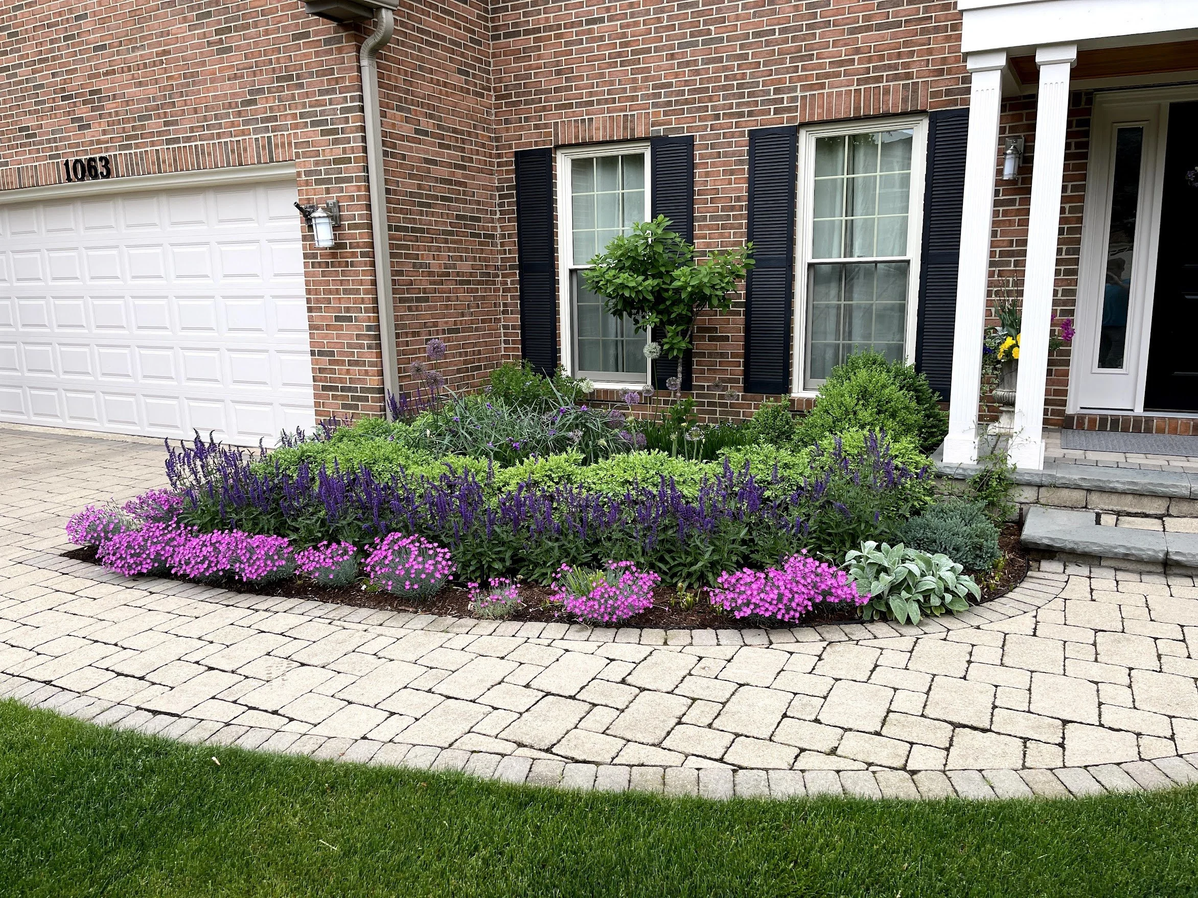 CLASSIC - INNovation STUDIO LANDSCAPE