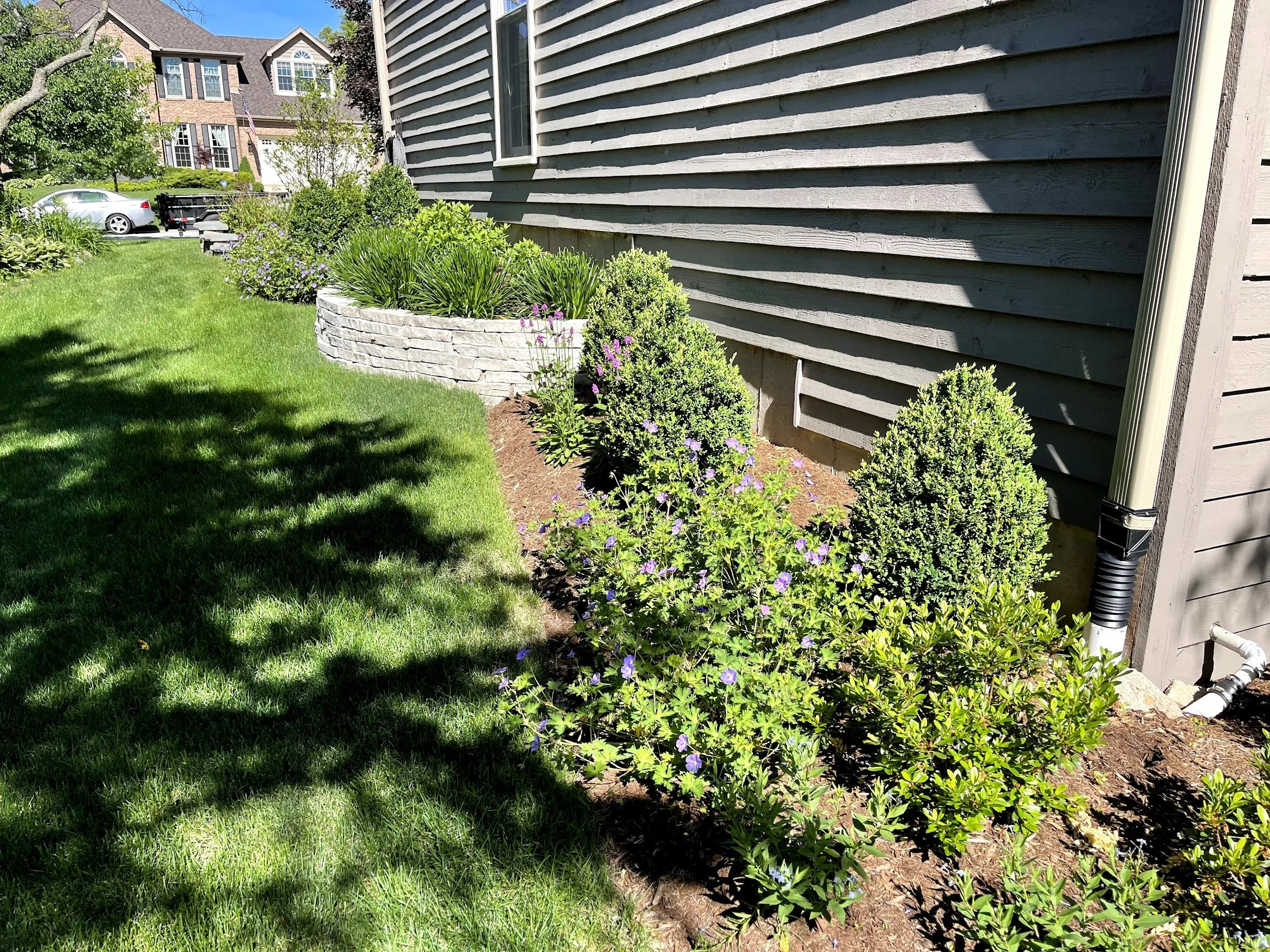 CLASSIC - INNovation STUDIO LANDSCAPE