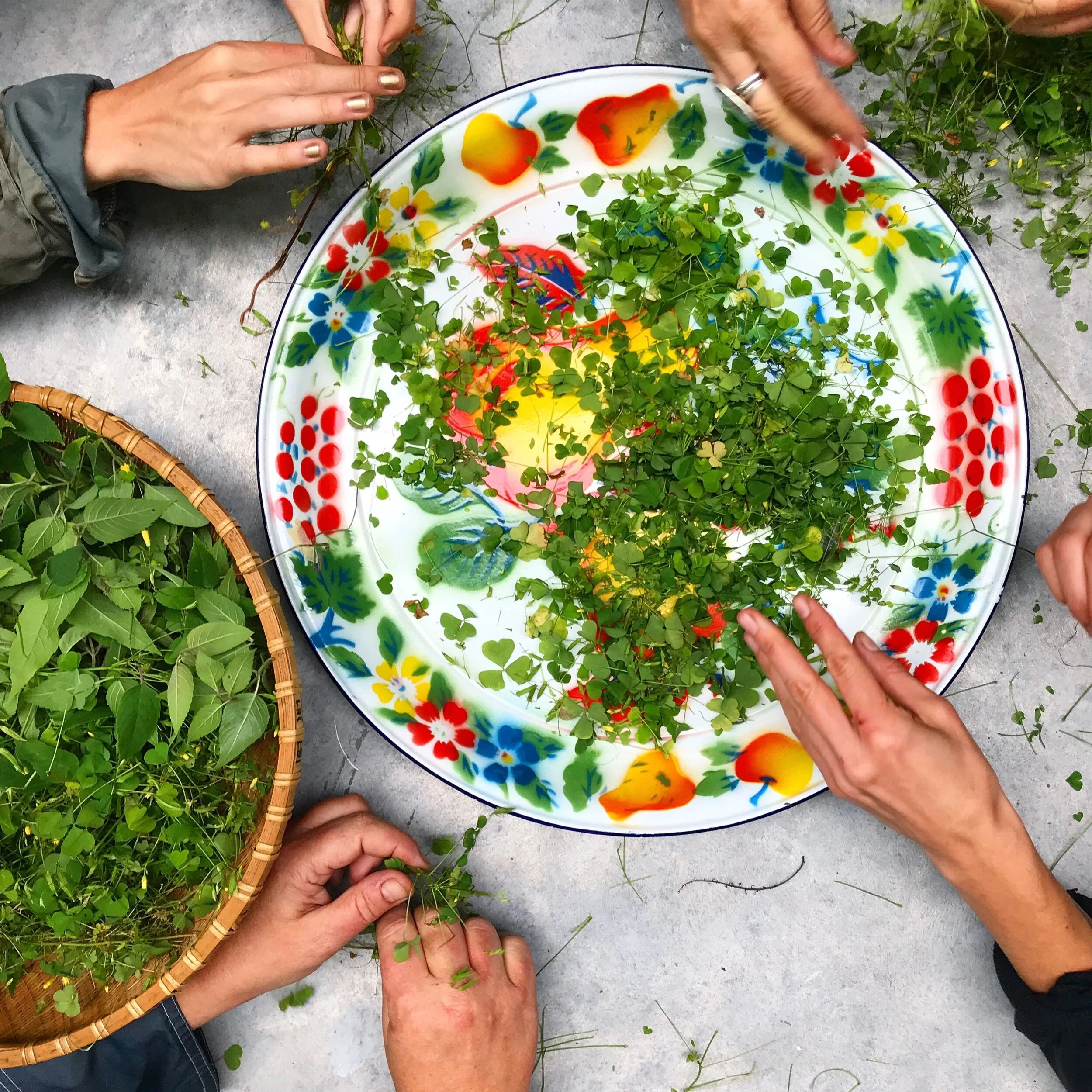 EVENTS — Colombe du jour