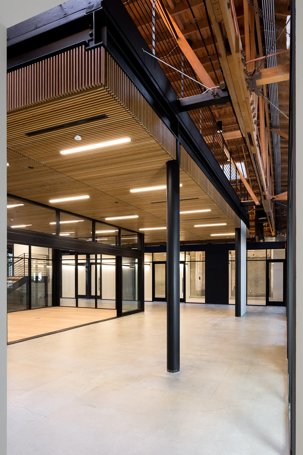 Office Build Out — CURATO Design Build