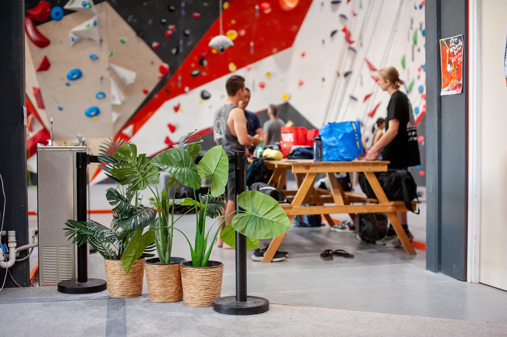 Urban Jungle Indoor Rock Climbing Perth