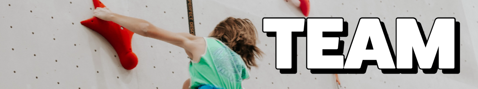 Youth Squad — Urban Jungle