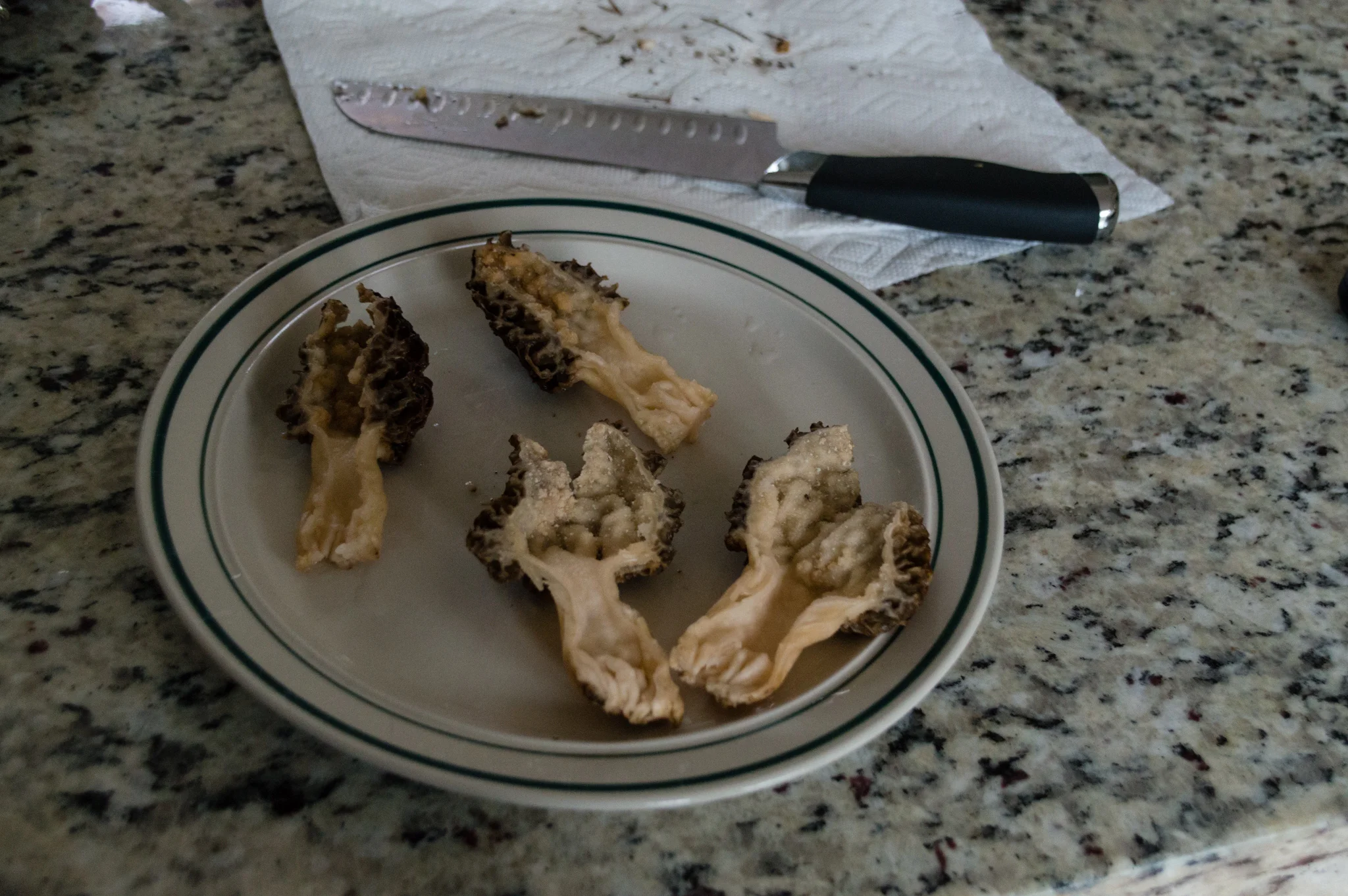 Kortika Kar — Caio Camargo